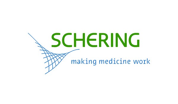 Methodik - Cologne Strategy Group